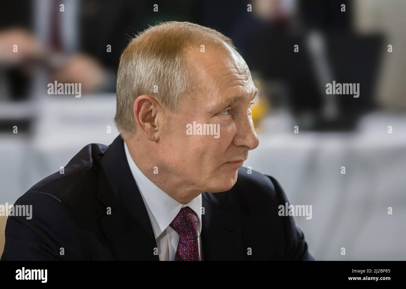 Vladimir putin berlin germany hi-res stock photography and images - Alamy