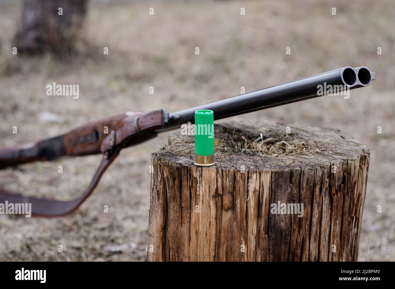 Ukraine wooden rifle hi-res stock photography and images - Alamy