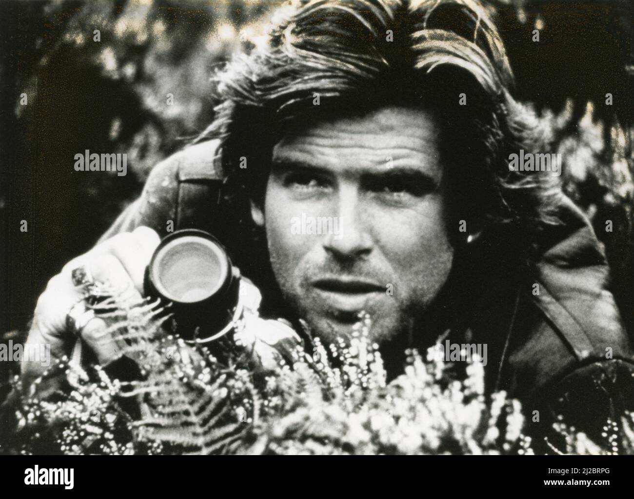 Taffin hi-res stock photography and images - Alamy