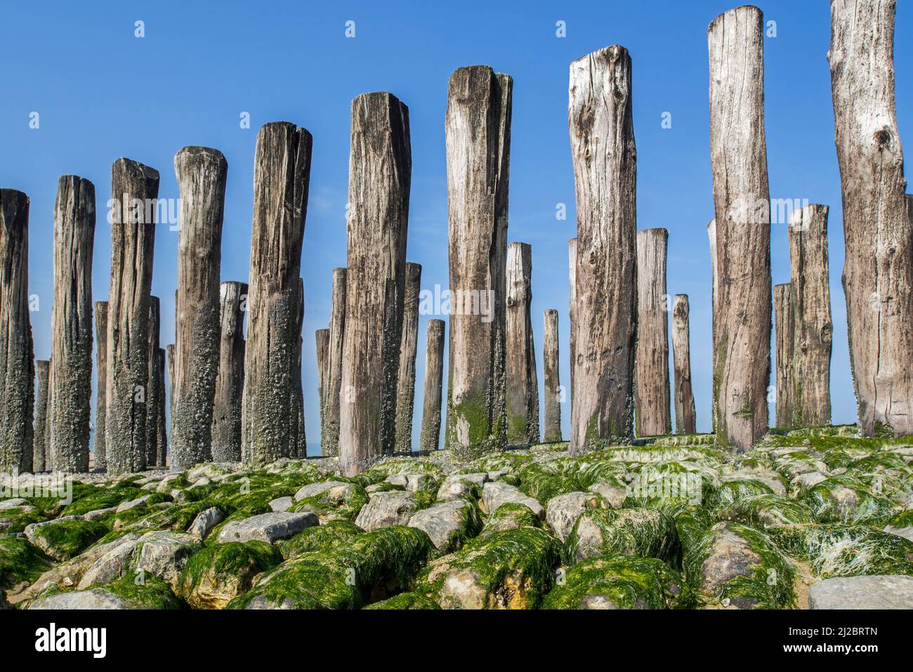 Rocks on the zeeland coast of the netherlands hi-res stock photography ...