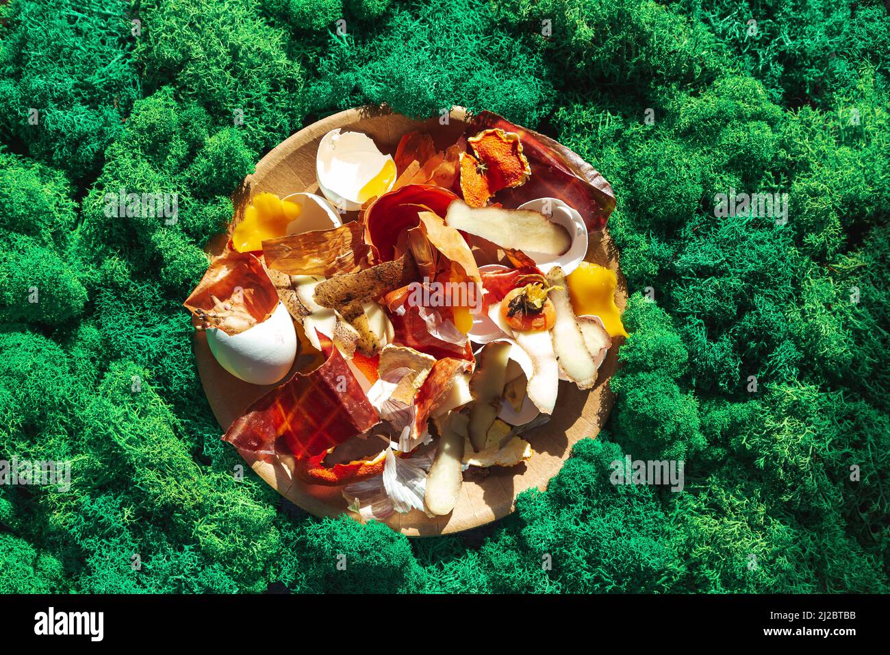 Food waste on the background of green moss. Collecting food scraps for ...