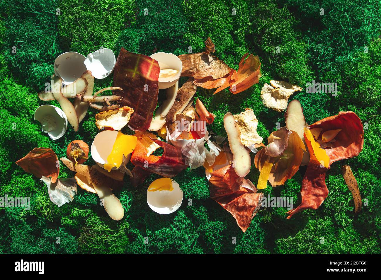 Food waste on the background of green moss. Collecting food scraps for ...