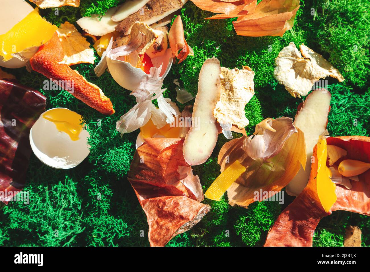 Food waste on the background of green moss. Collecting food scraps for ...