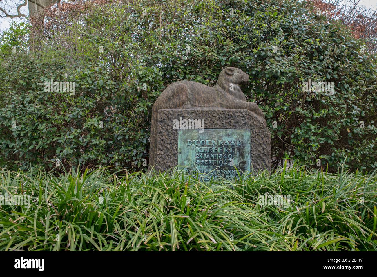 Side View Museum Plus Bus At Amsterdam The Netherlands 30-3-2022 Stock ...