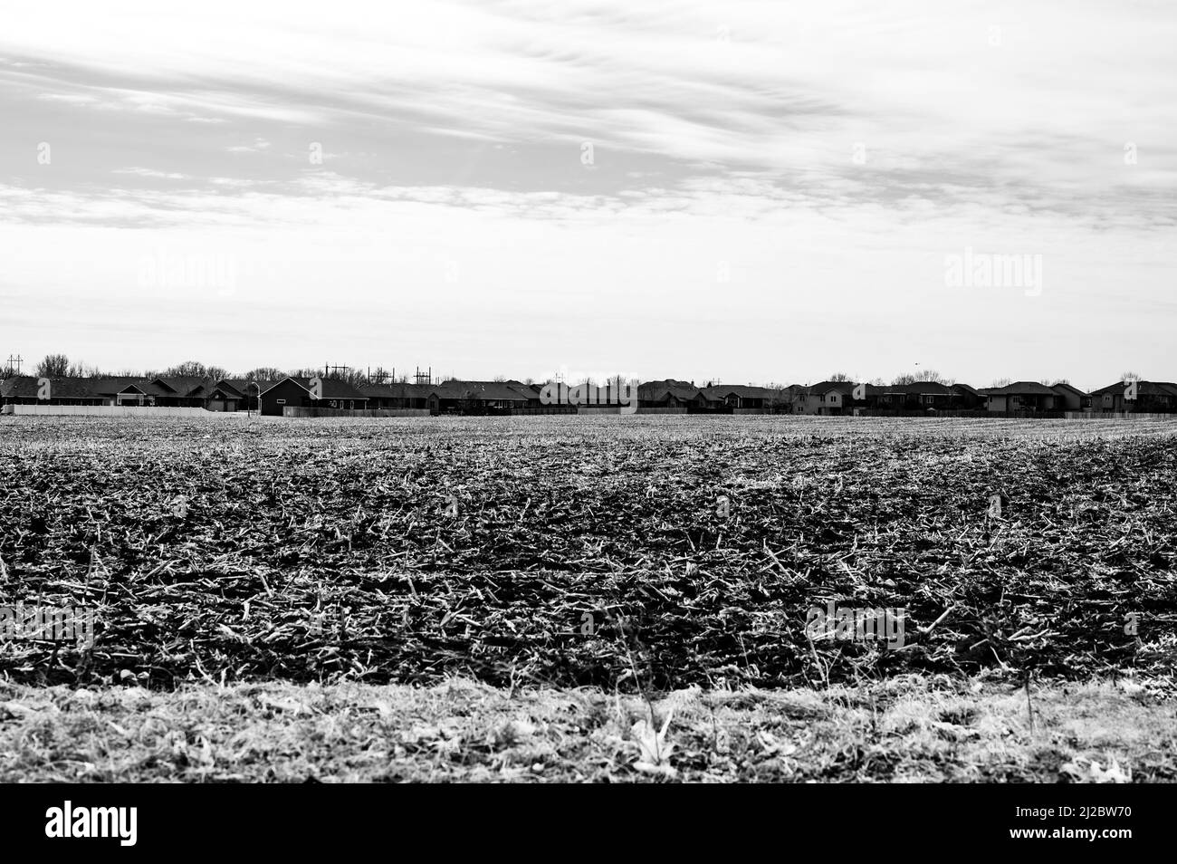 Empty corn field after fall harvest with residue over soil. Urban ...