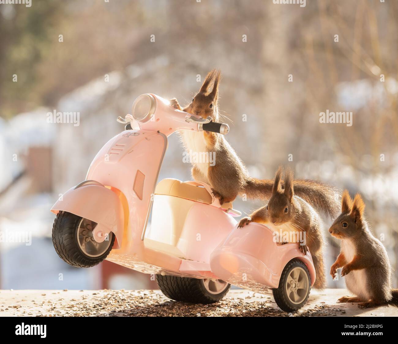 Swedish scooter hi-res stock photography and images - Alamy