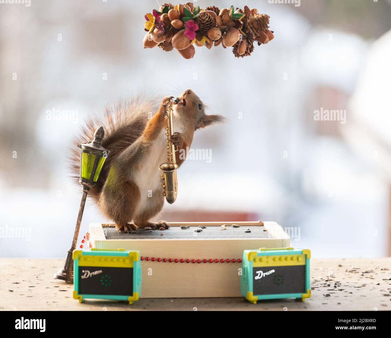Red squirrel is holding an saxophone hi-res stock photography and ...