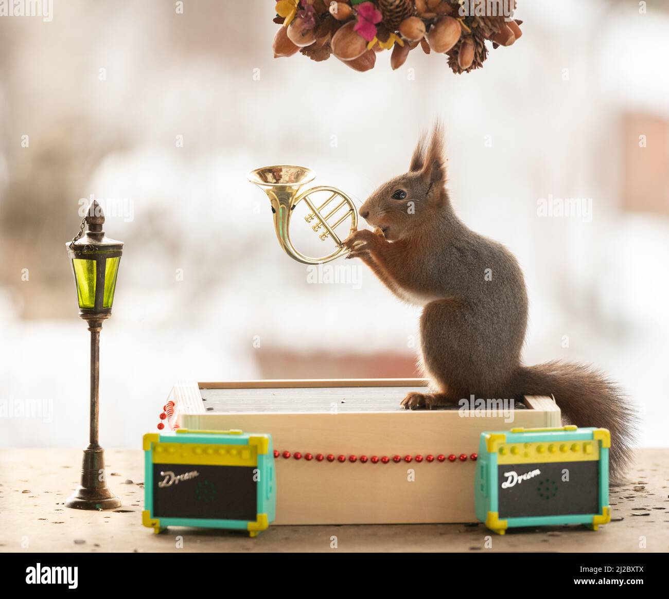 Animal horn music hi-res stock photography and images - Alamy