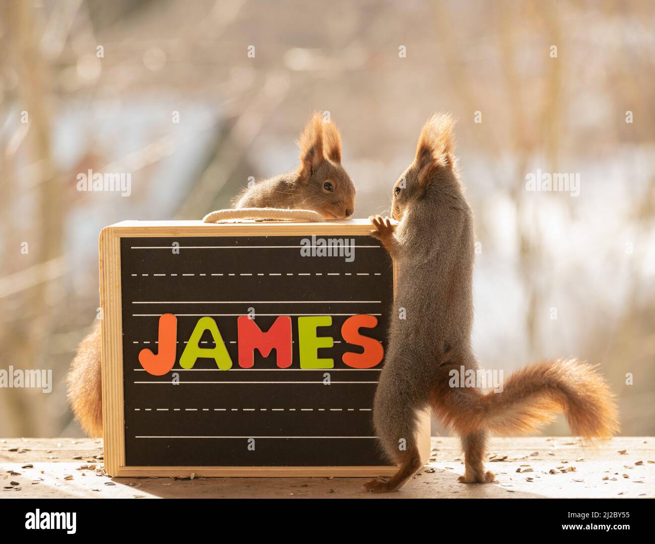 Funny capital letters alphabet hi-res stock photography and images - Alamy