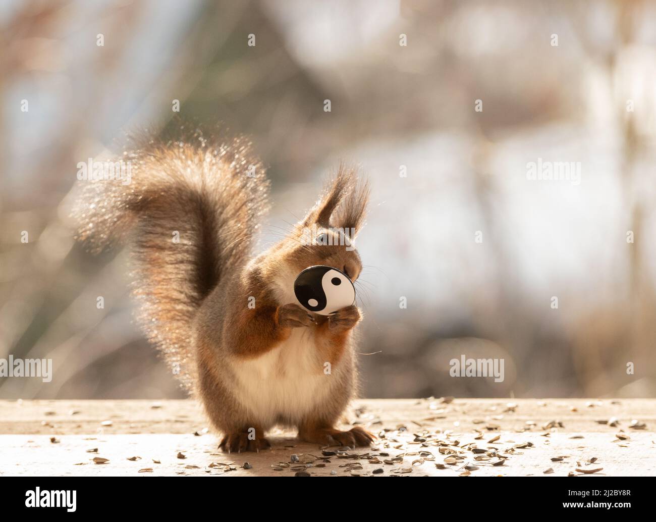 Complementing principles hi-res stock photography and images - Alamy