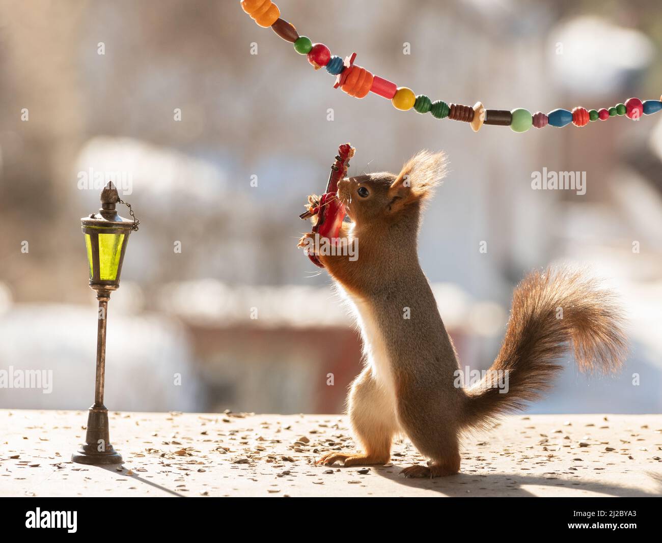 Violin sing singer play music hi-res stock photography and images - Alamy