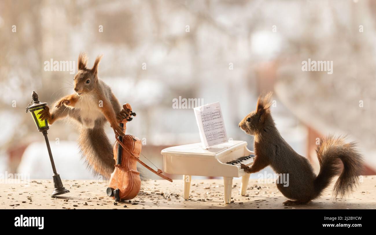 Violin sing singer play music hi-res stock photography and images - Alamy
