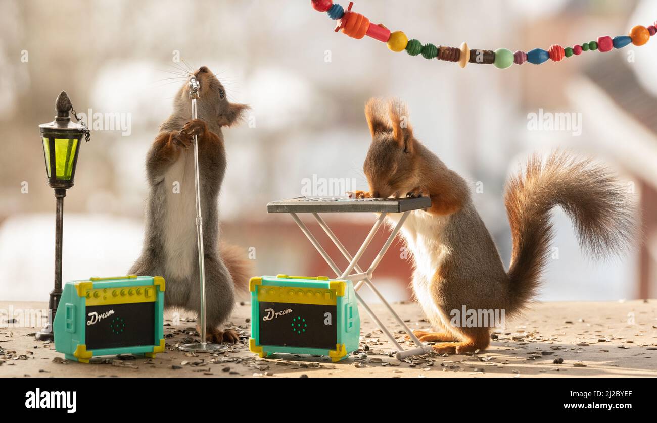 Rodent keyboard hi-res stock photography and images - Alamy