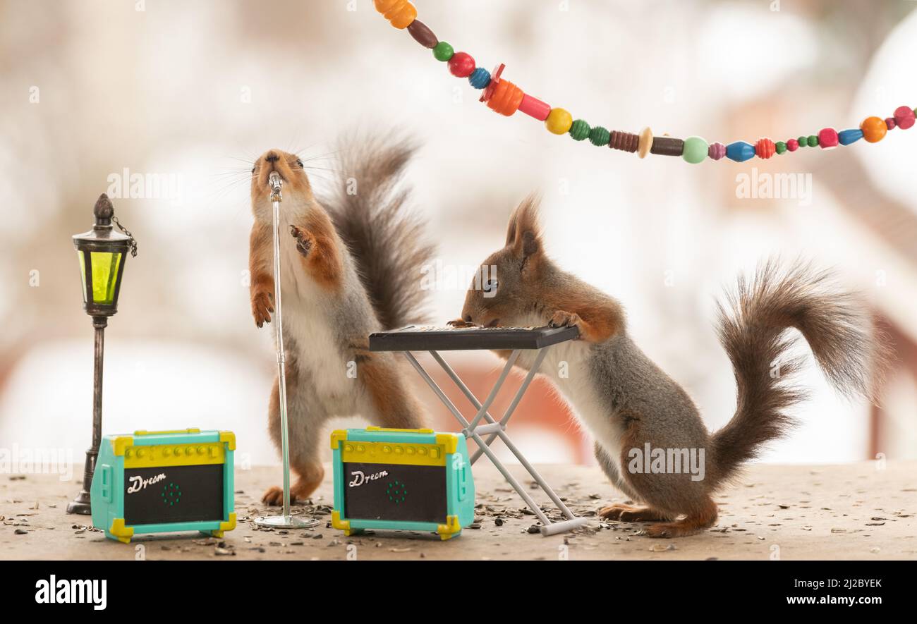 Rodent keyboard hi-res stock photography and images - Alamy