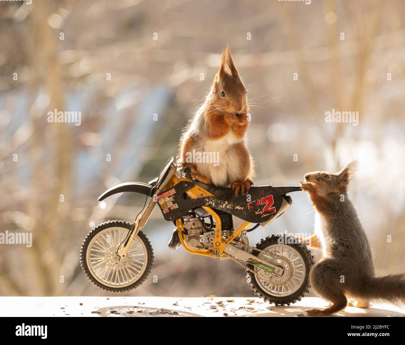 Duo bike hi-res stock photography and images - Alamy