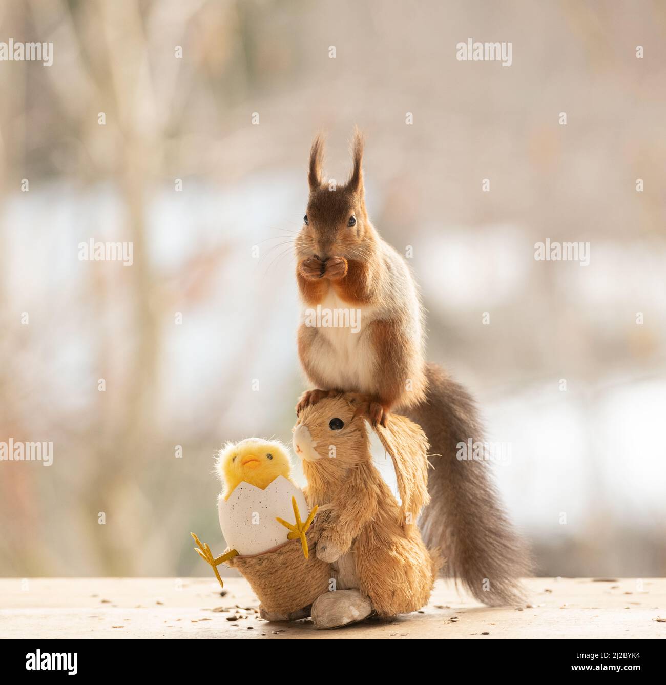 Sweden easter egg hi-res stock photography and images - Alamy