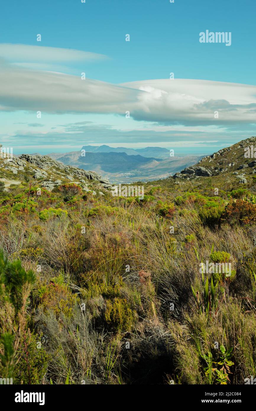 A vertical shot of rural wild fields on mountains near Constantia Nek ...