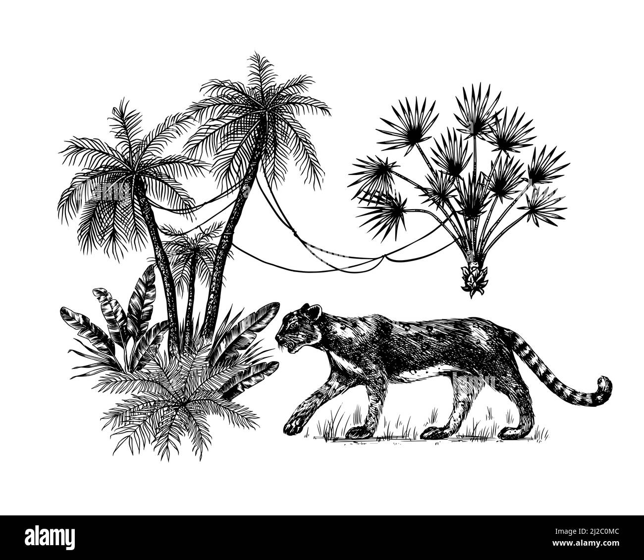 Wild tiger and exotic plants. Tropical trees. Eastern landscape. Exotic ...