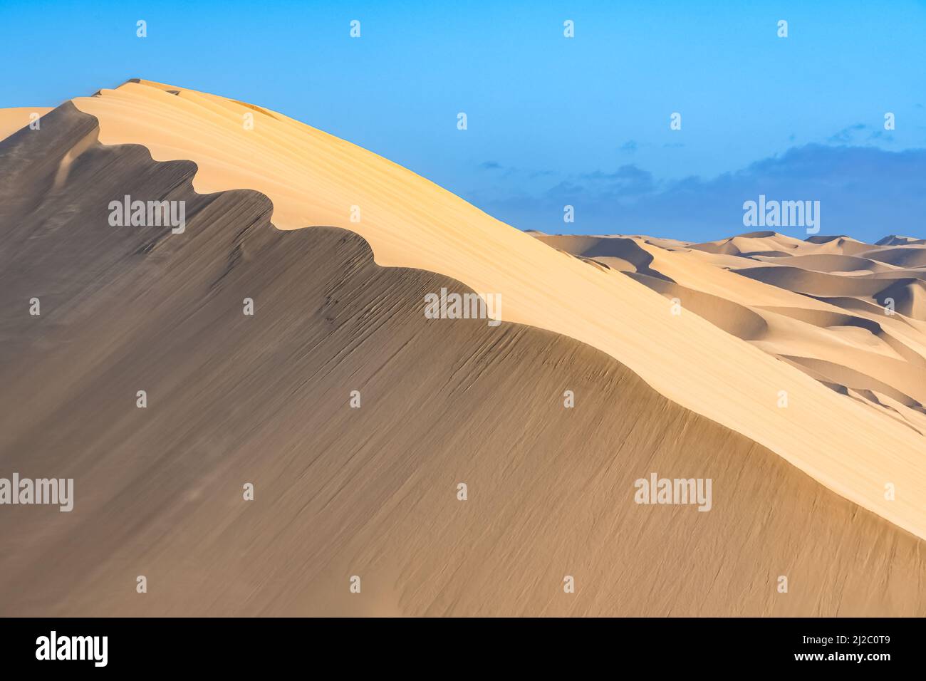 Namibia, the Namib desert, graphic landscape of yellow dunes ...