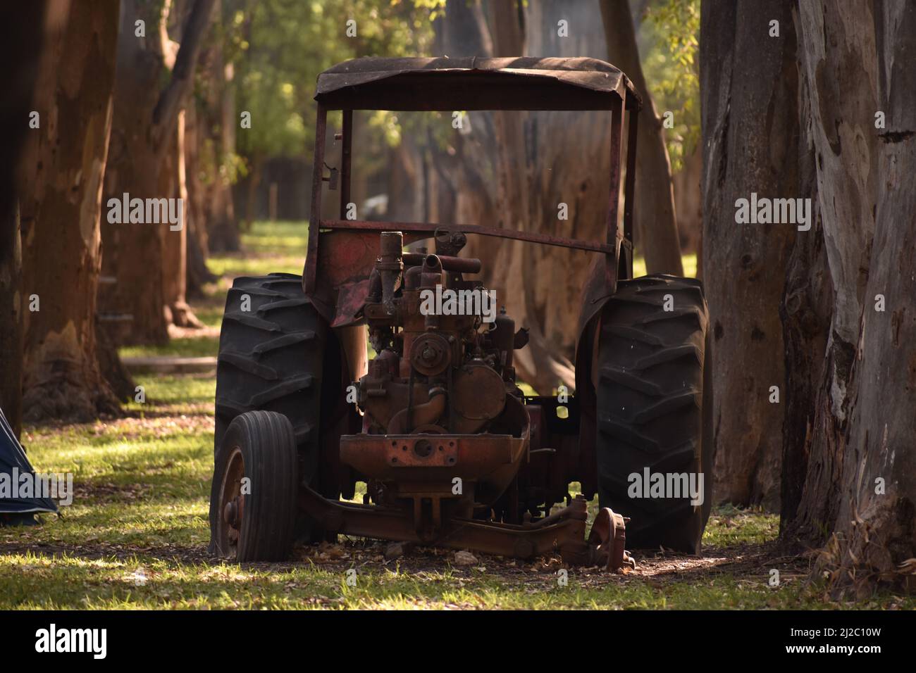 An old tractor in a park with beautiful trees Stock Photo - Alamy