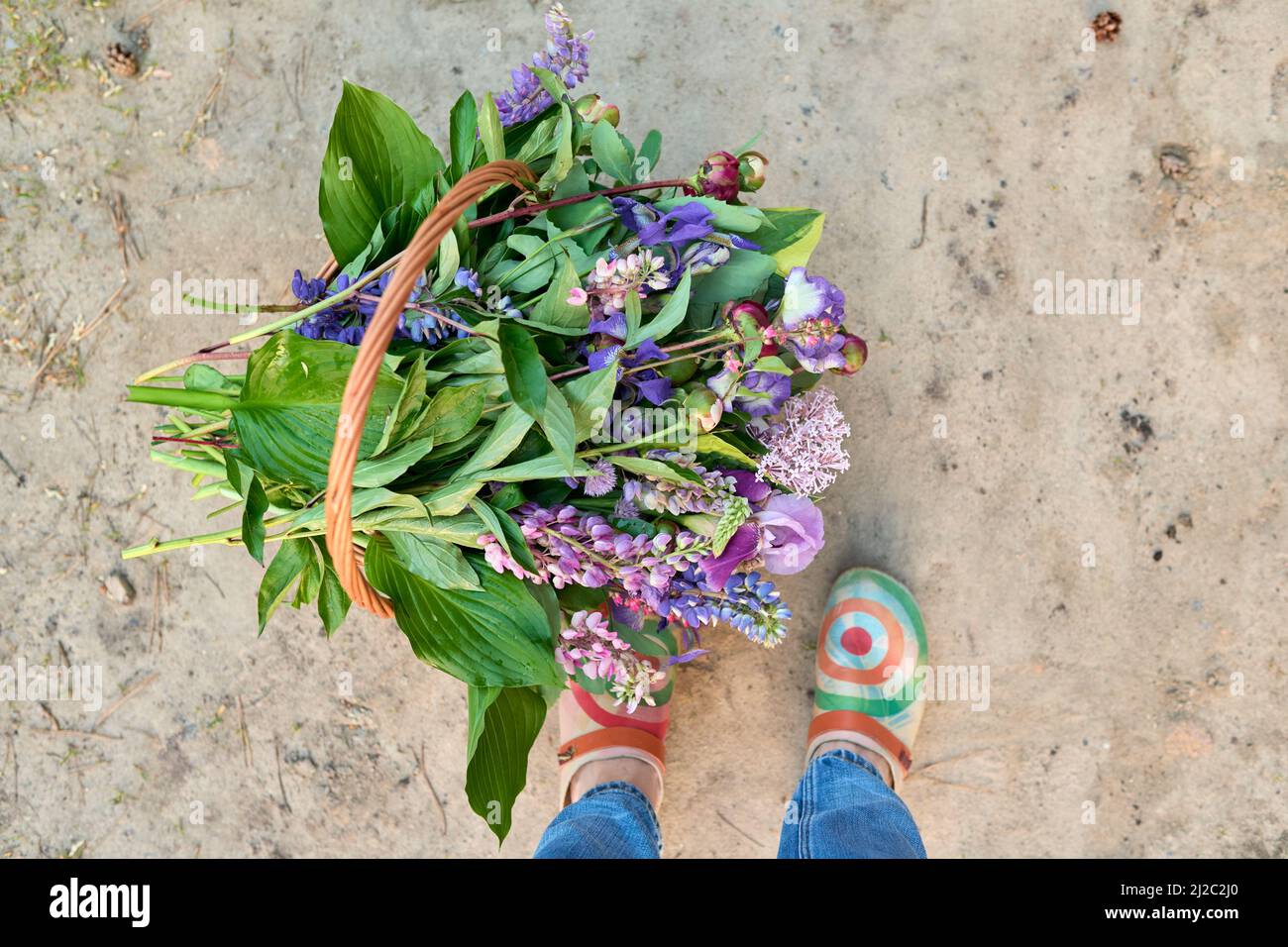 Spring fresh flowers in basket on ground with legs close up, top view ...