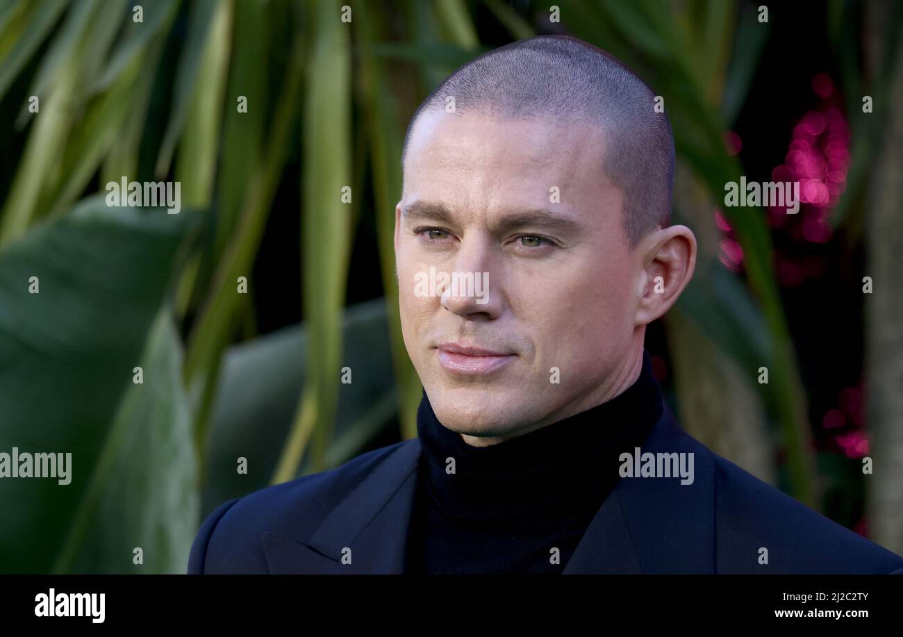 Channing tatum the lost city hi-res stock photography and images - Alamy