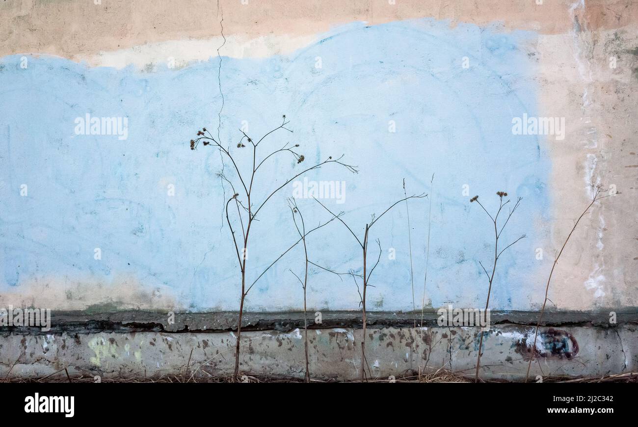 Sad texture hi-res stock photography and images - Alamy