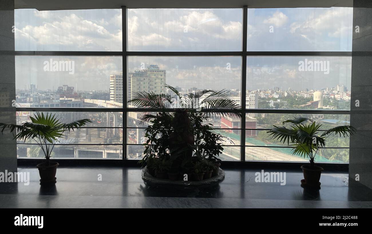 Windows overlooking palm trees hi-res stock photography and images - Alamy