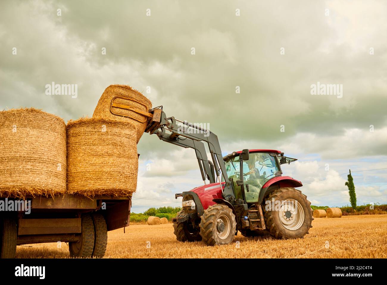 Stacking those hay bales. Shot of a farmer stacking hale bales with a ...
