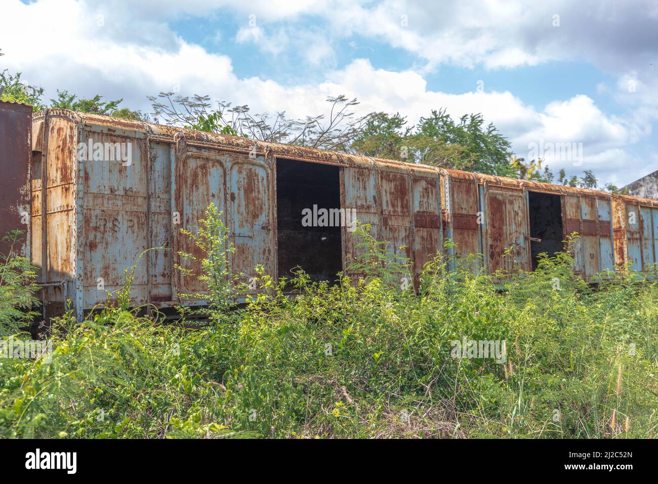The abandoned trains and wagons in a field Stock Photo - Alamy