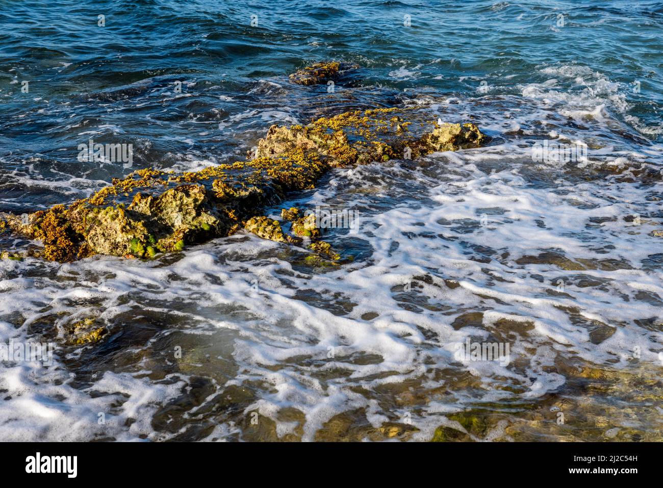 The Caribbean Sea at the shore of Willemstad, Curacao Stock Photo - Alamy