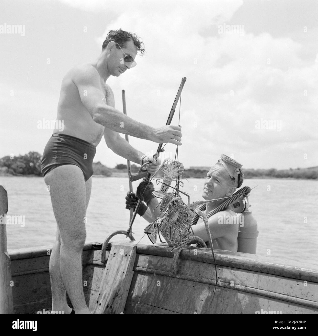 Divers with lobsters near a ship in Fuikbaai ca. October 1955 Stock ...