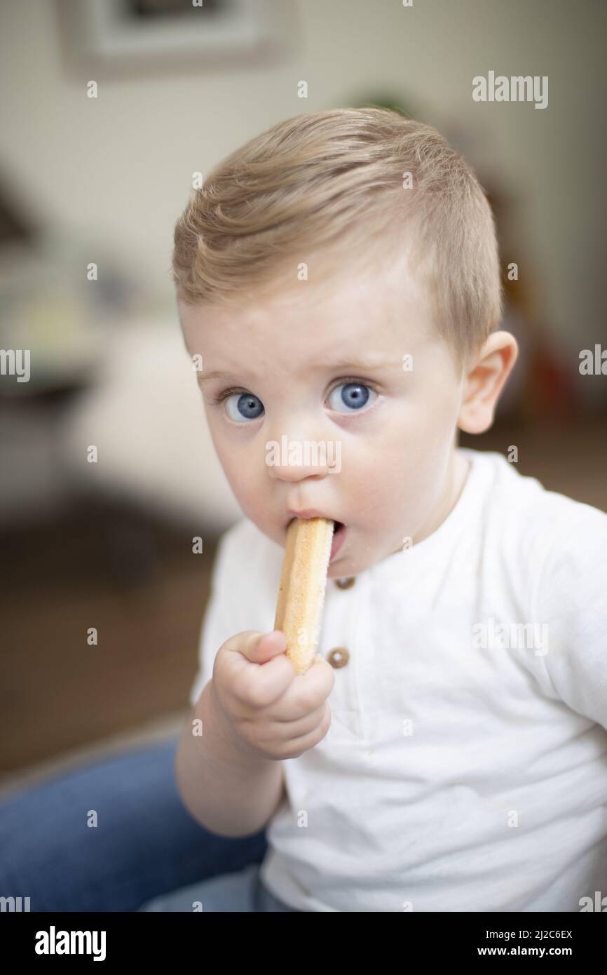 An adorable Caucasian baby boy eating a cookie in a playroom Stock ...