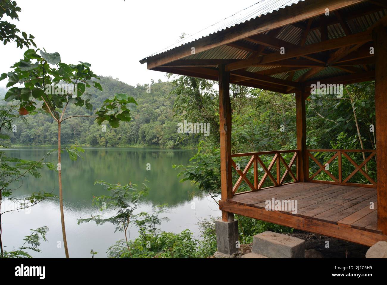 Rana mese hi-res stock photography and images - Alamy