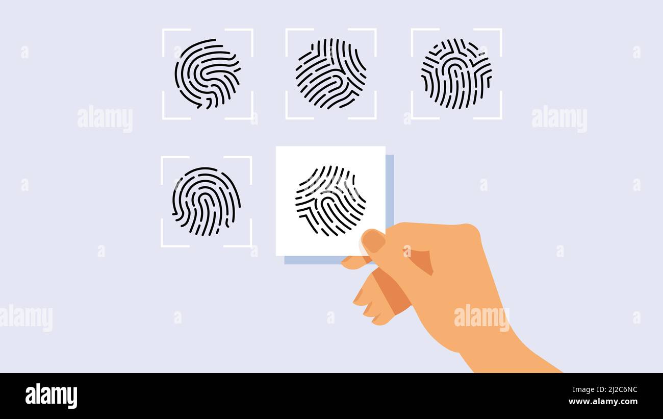 The Fingerprinting - comparison of samples, selection of the desired ...