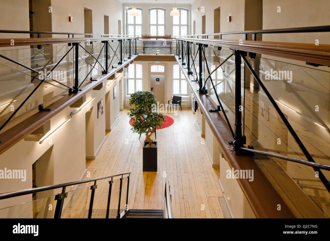 Swedish Prison System