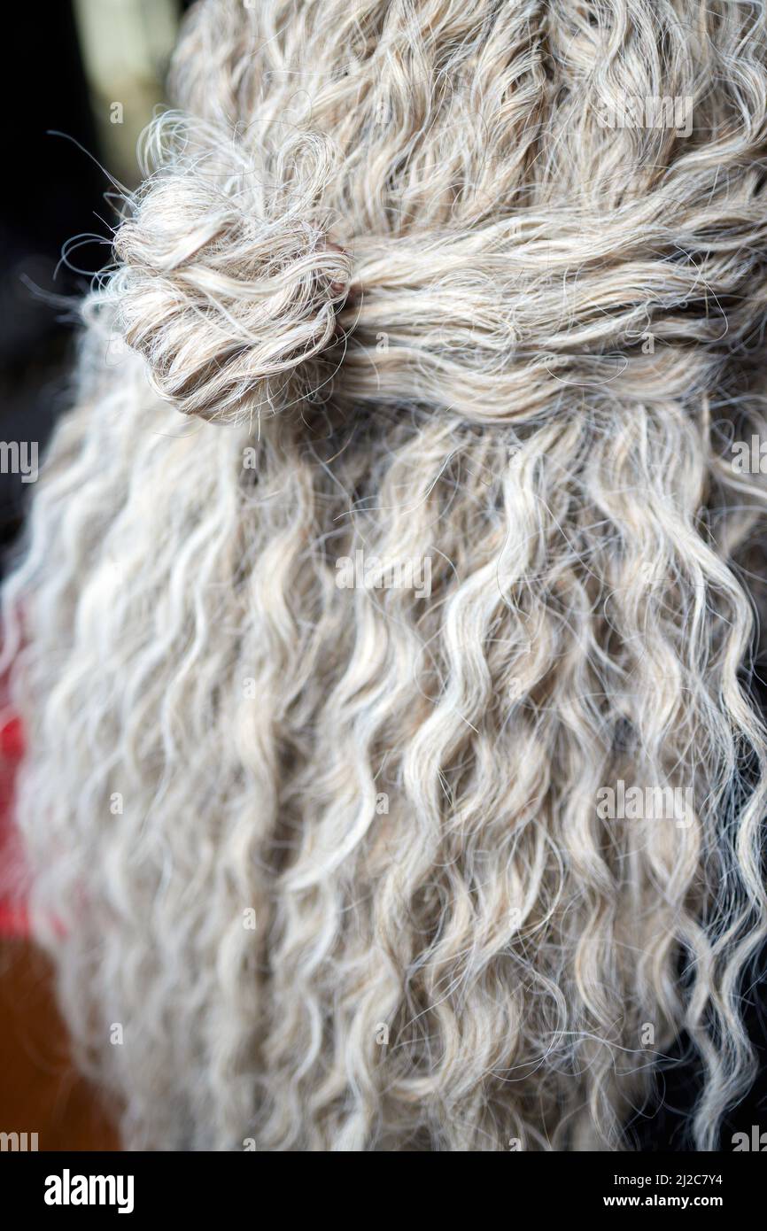 Afro pigtails Dreadlocks African pigtails on a white background weaves ...