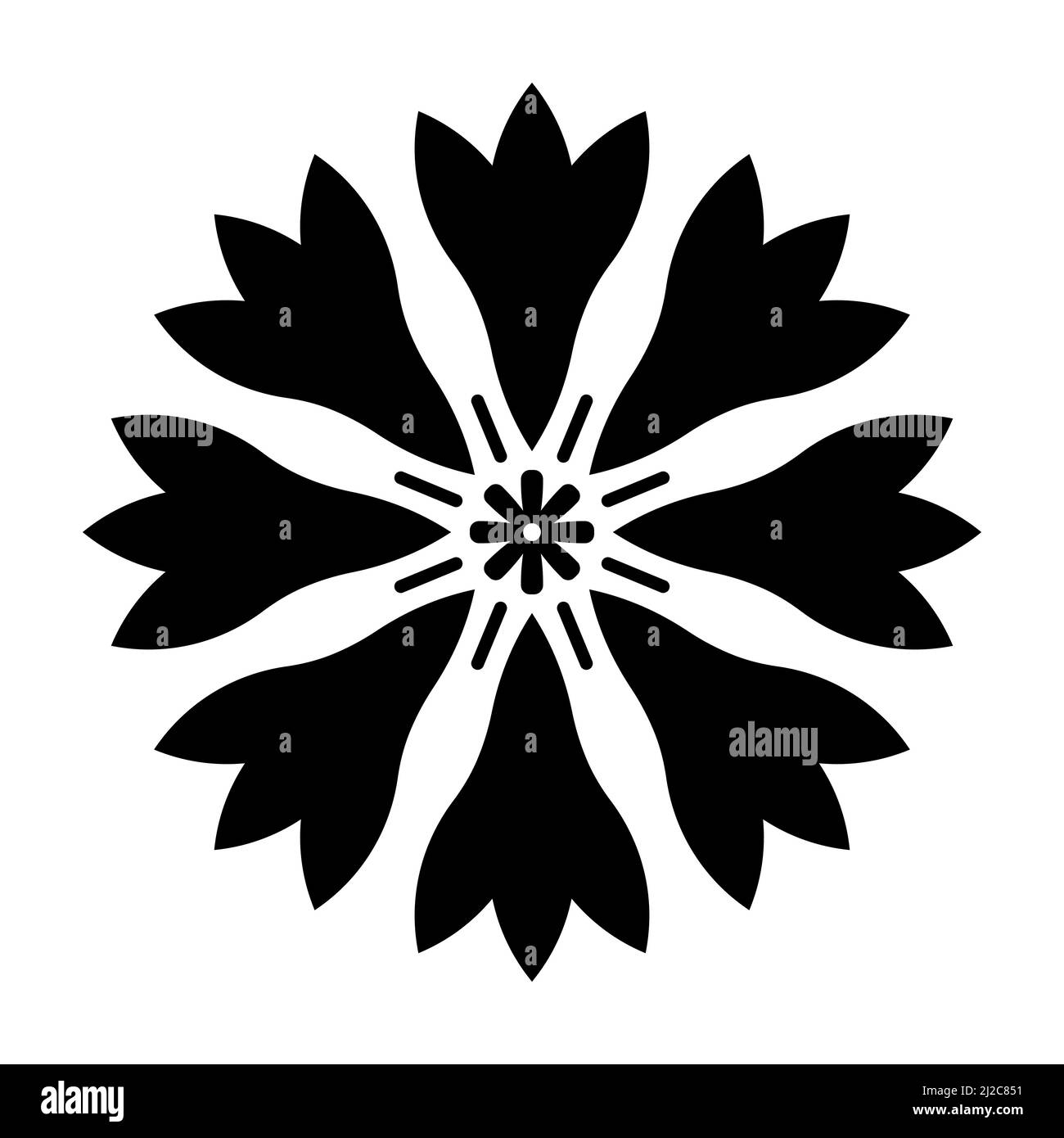 Cornflower Vector