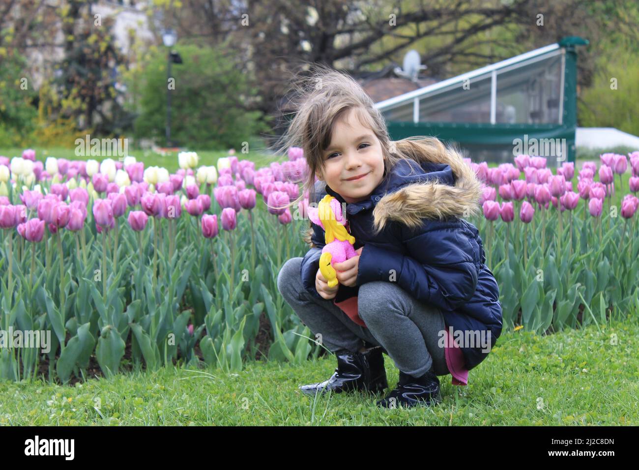 Girl in a tulip field hi-res stock photography and images - Alamy
