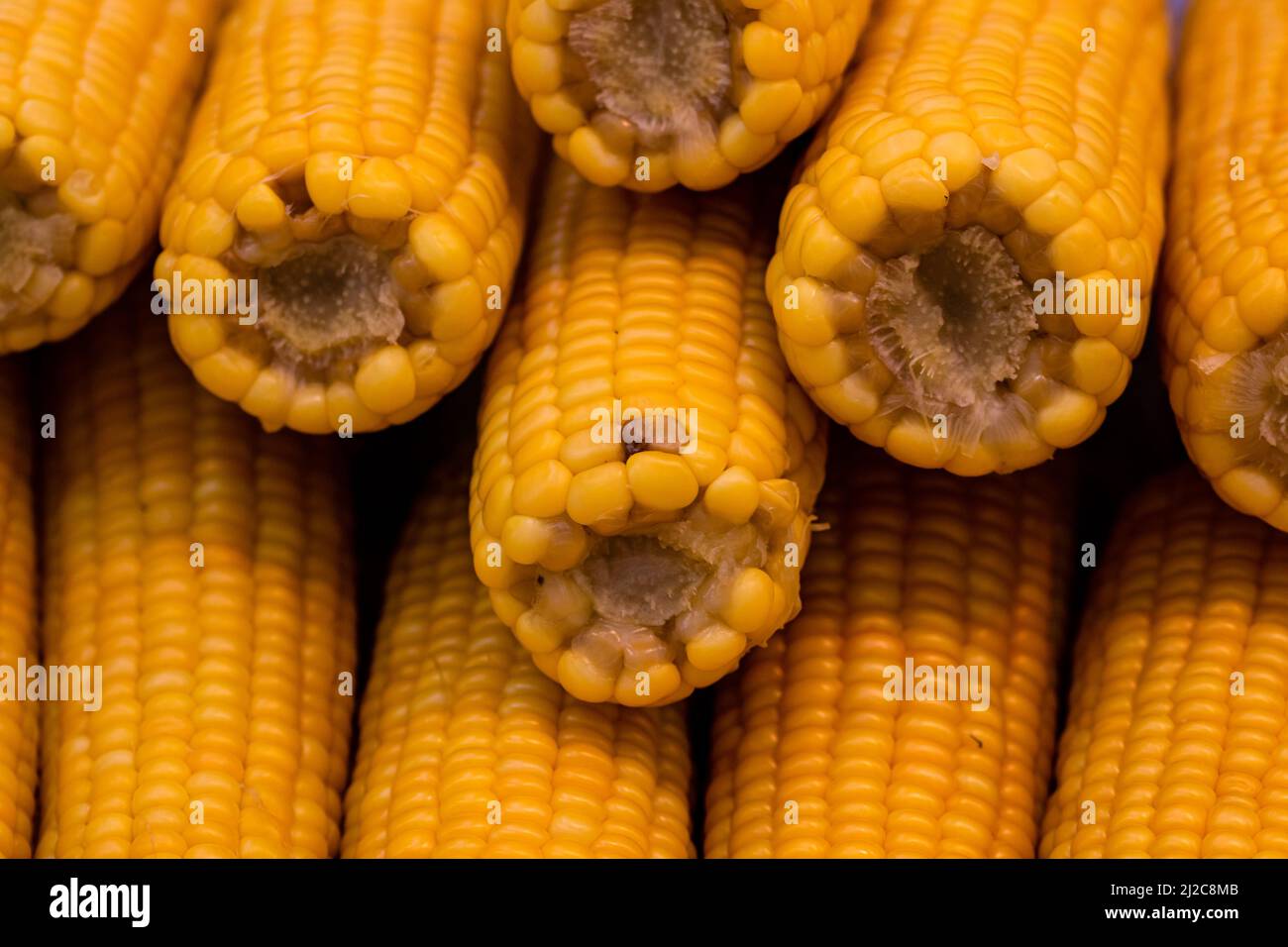 Grilled corn vegetable food background Stock Photo - Alamy