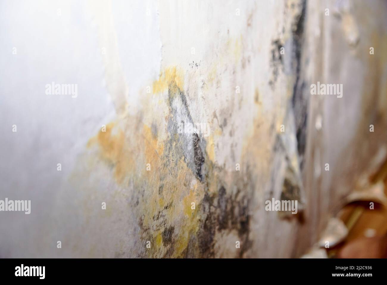 Old mold on the wall. Dirty surface before cleaning. Unhealthy ...