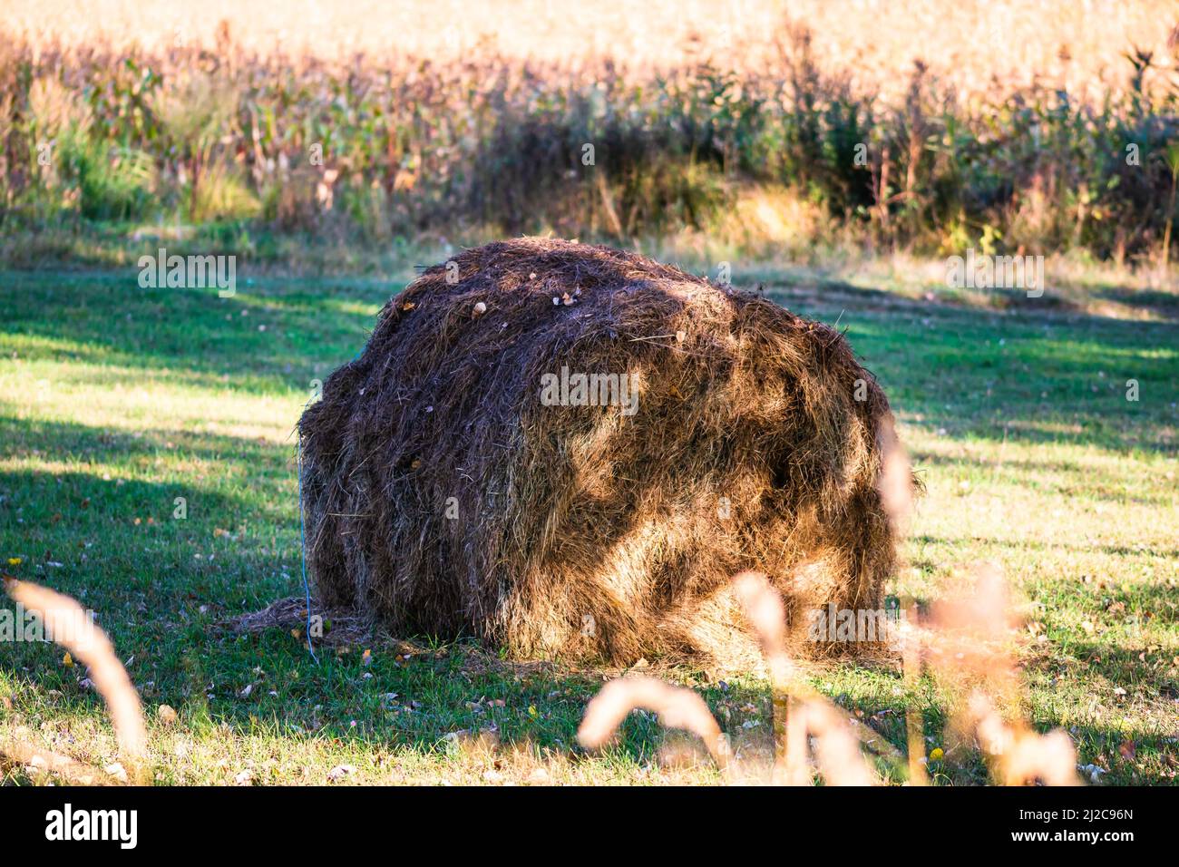 Golden hay bales. Agricultural parcels of different crops and hay roll ...