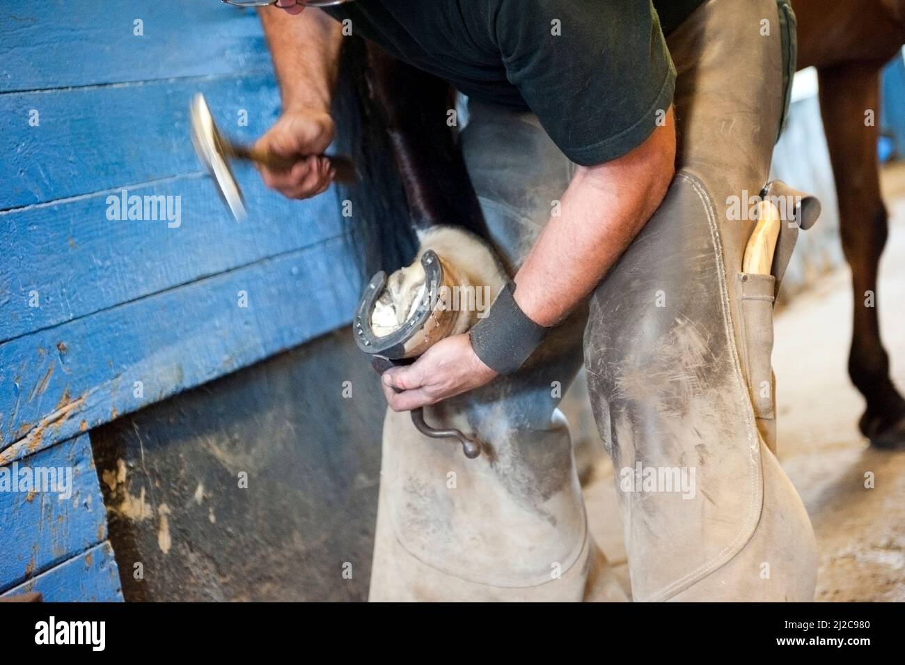 A farrier in work Stock Photo - Alamy