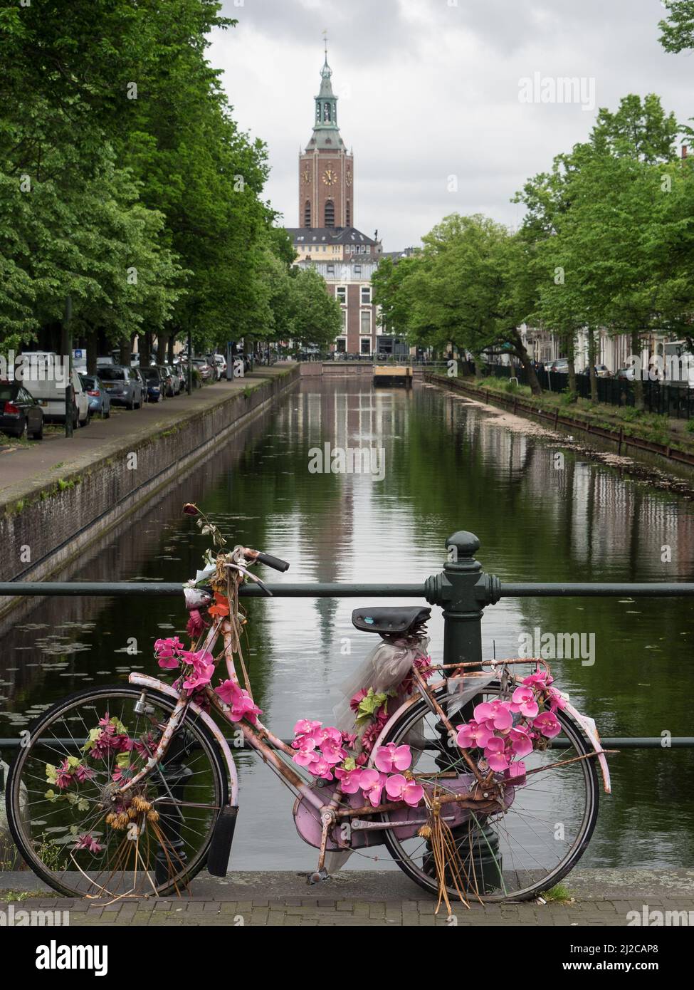 Den Haag city in the netherlands Stock Photo - Alamy