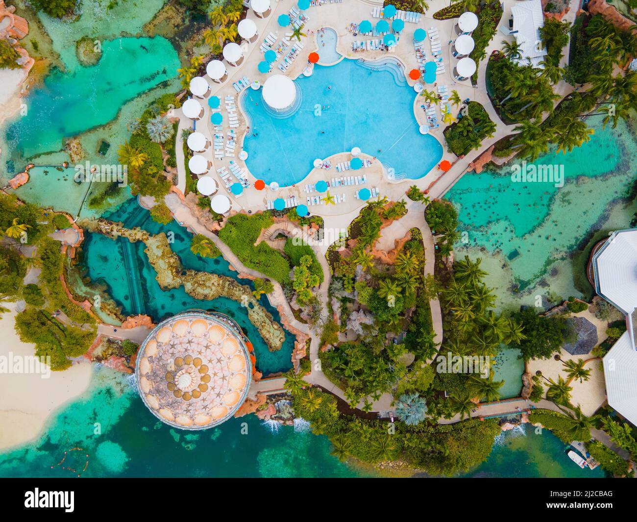 Coral Pool and Predator Lagoon at Coral Hotel in Atlantis Resort aerial ...