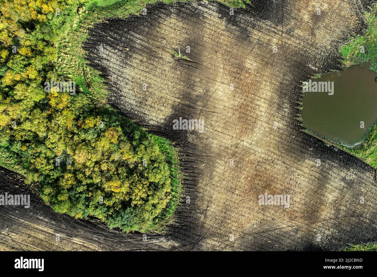 An aerial overhead shot of a forest landscape Stock Photo - Alamy