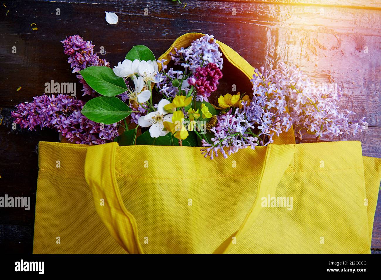 Cottagecore craft hi-res stock photography and images - Alamy