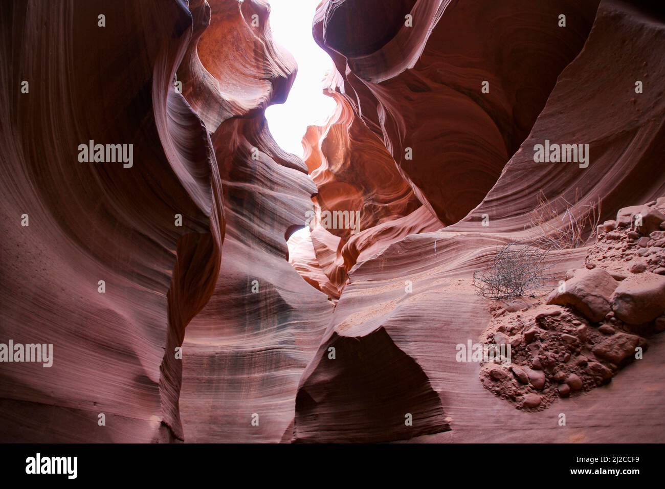 The scenic spot view of the Lower Antelope Canyo Stock Photo - Alamy