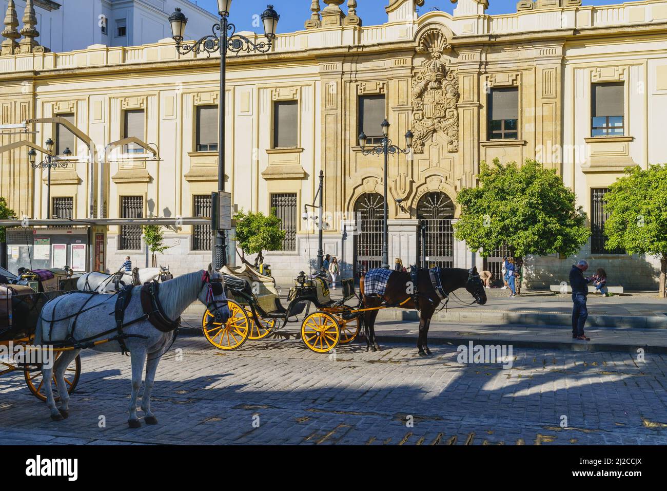 Seville, Spain, March 6, 2022. Typical carriages in the central street ...