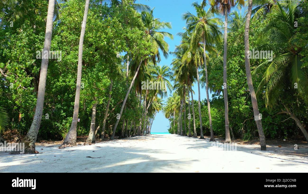 A scenic view of a white path with tropical trees Stock Photo - Alamy
